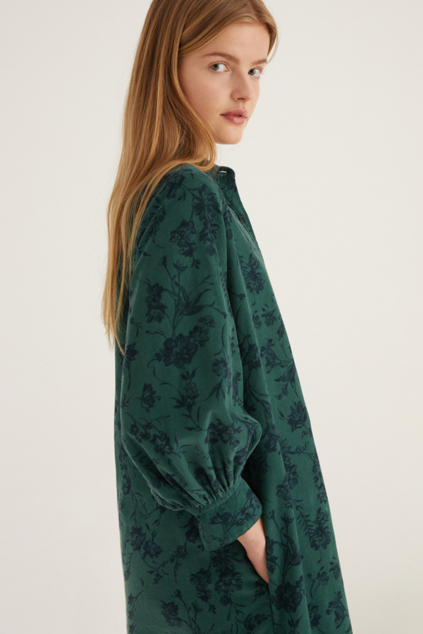 New Arrivals – Finicky Filly